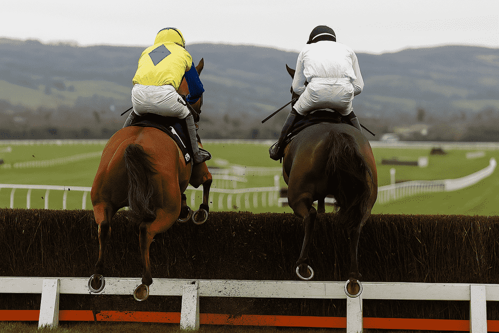 Cheltenham Racecourse Betting Guide | Tips, Tactics & Course Info
