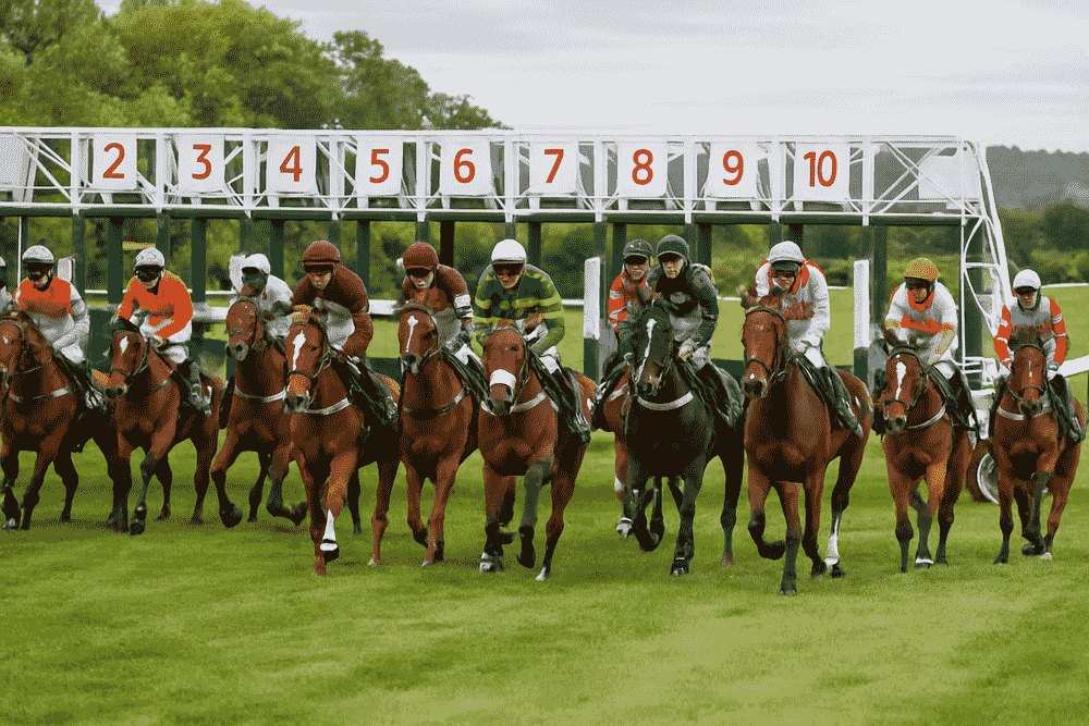 Venetia Williams Horses to Follow 2025–26: Top 10 to Track